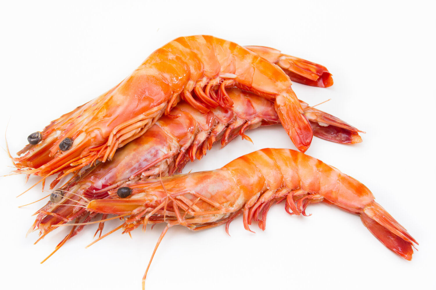 Gambas 10/15 - Forsbergs Fisk